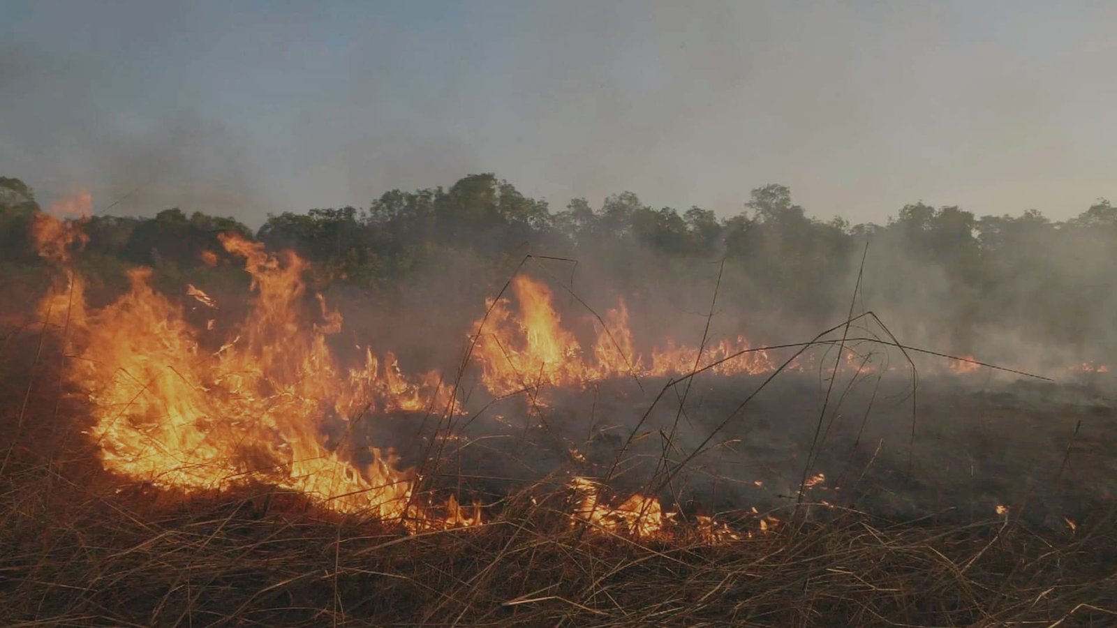 TracPlus and NAFC — Improving safety for aerial firefighting across ...